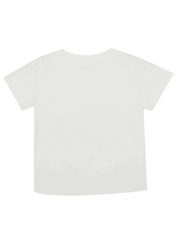 Hawaii Scene Printed Crop Top – AnotherChill