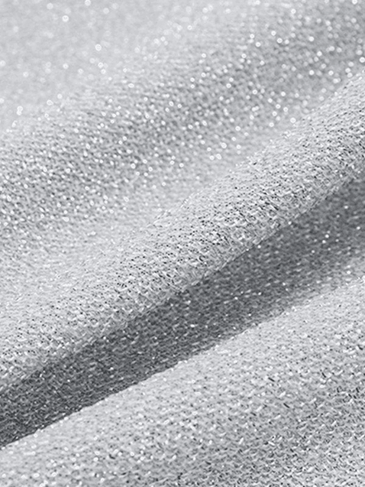 Metallic Silver Halter Cropped Tank Top – AnotherChill